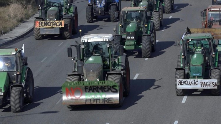 Spanish Farmers Protest Imports - NOW | News Of the World